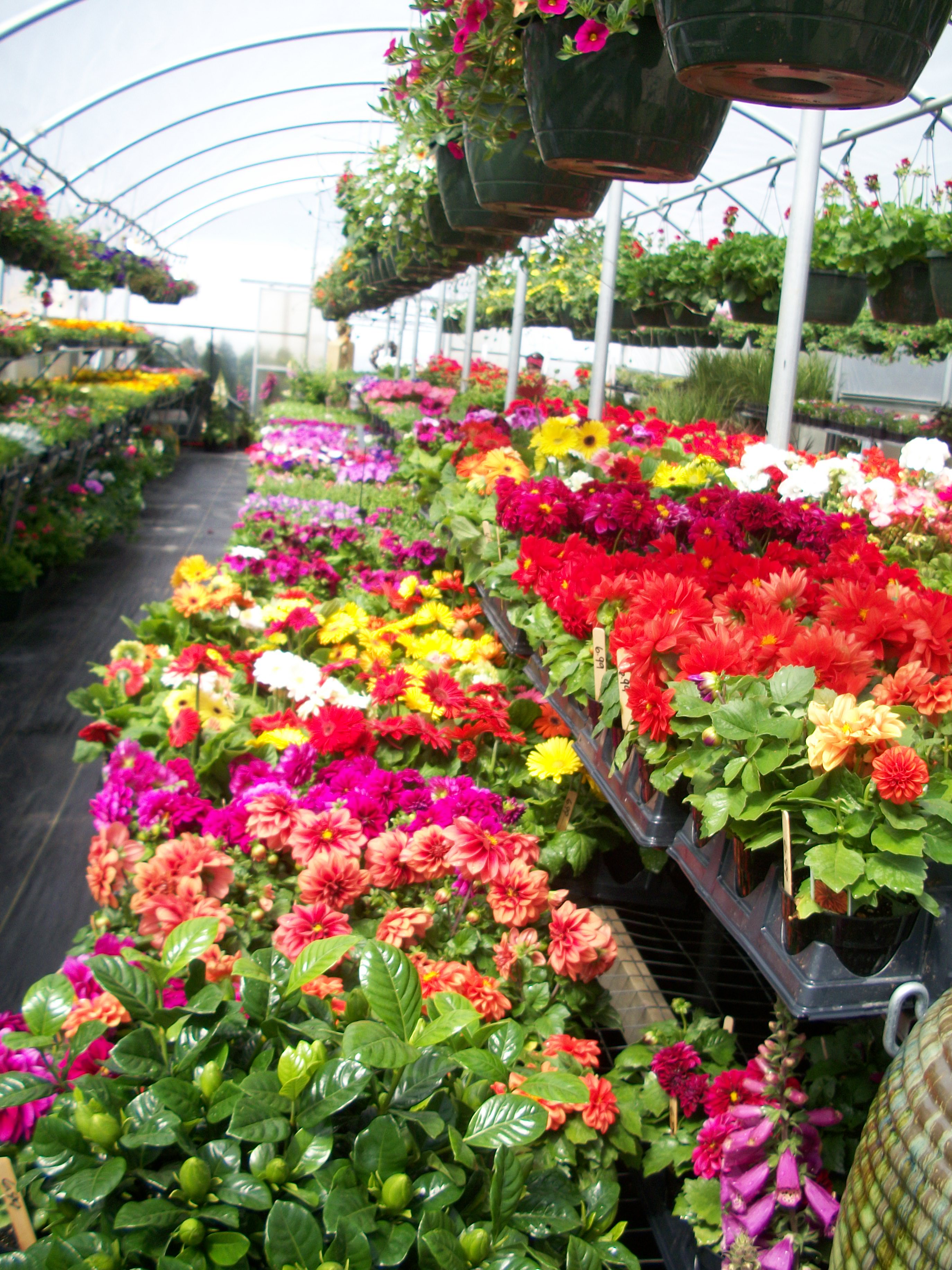 100_0331 – Bloch's Farm