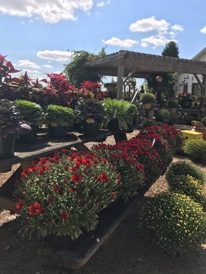 21432986_10154617703320566_4152343715495741977_n – Bloch's Farm