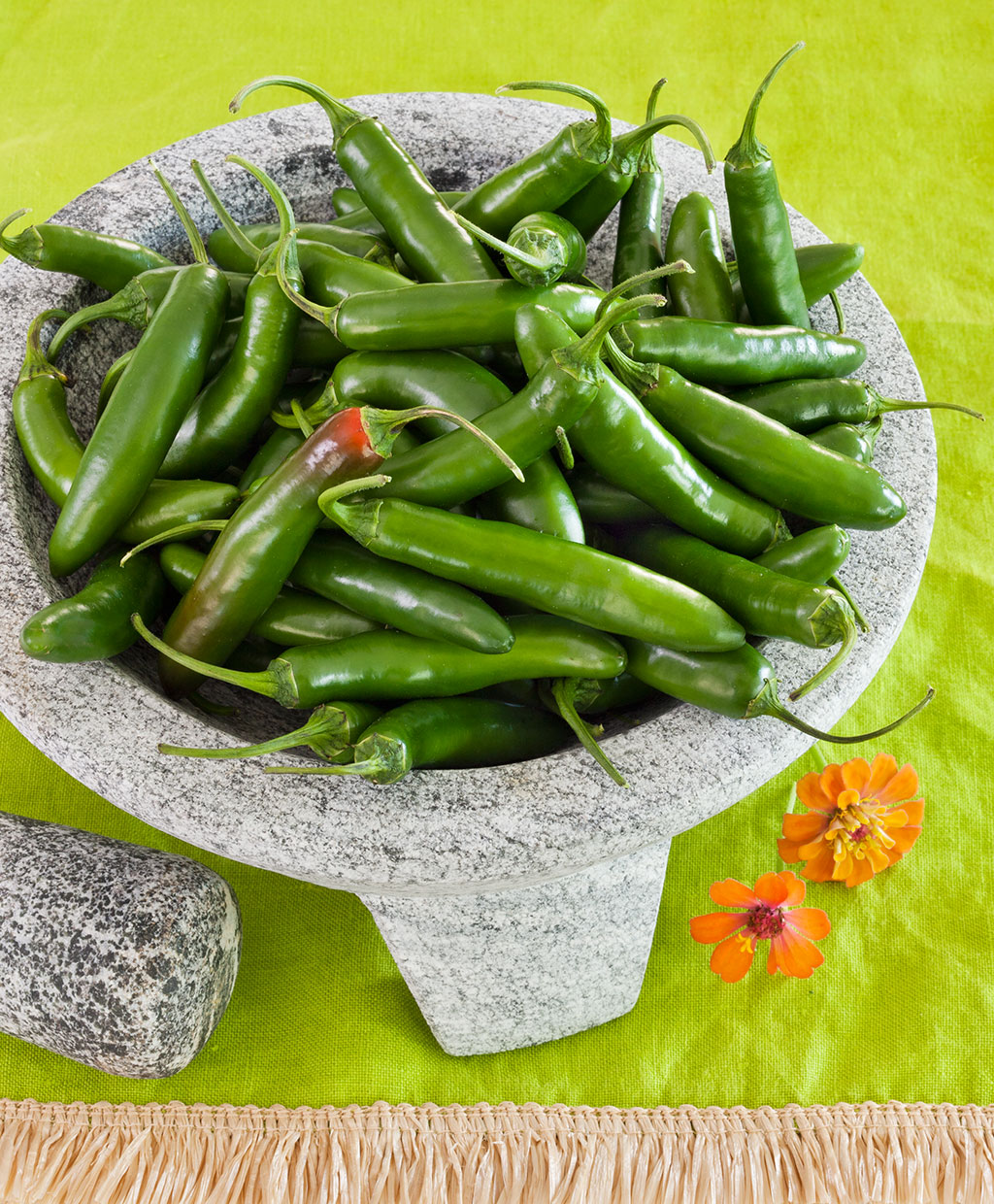 serrano-hot-pepper – Bloch's Farm